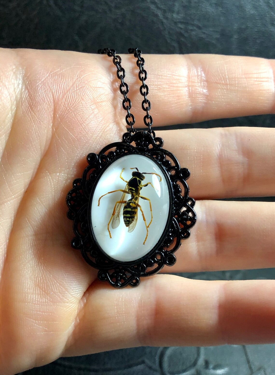Real Yellow Wasp Specimen on Black Enamel Frame Bezel in Resin Insect ...