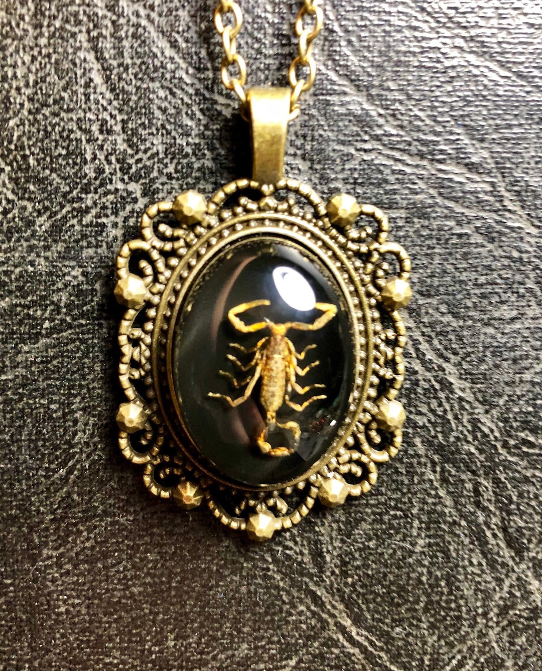 Real Golden Scorpion Specimen on Black Resin in Metal Lace Bronze ...