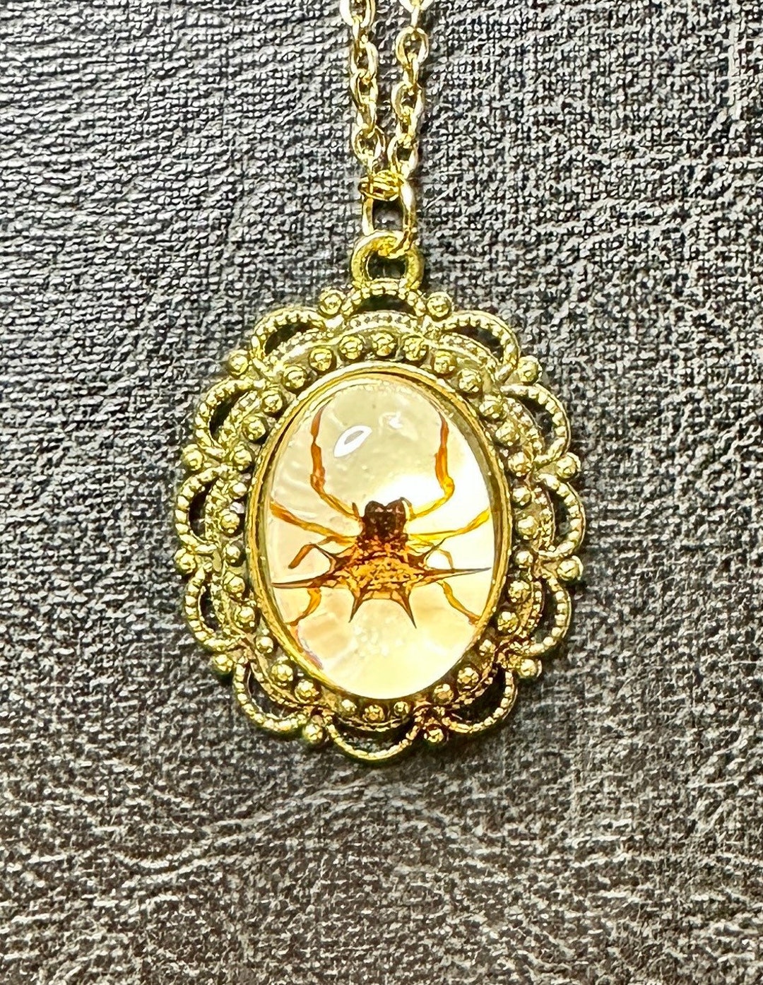 Tiny Real Spider Baby Spiny Orb Weaver Specimen Insect Cameo Necklace ...