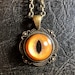 Red Fox Eye Taxidermy Acrylic Slit Eye Necklace Taxidermist Whites Big ...