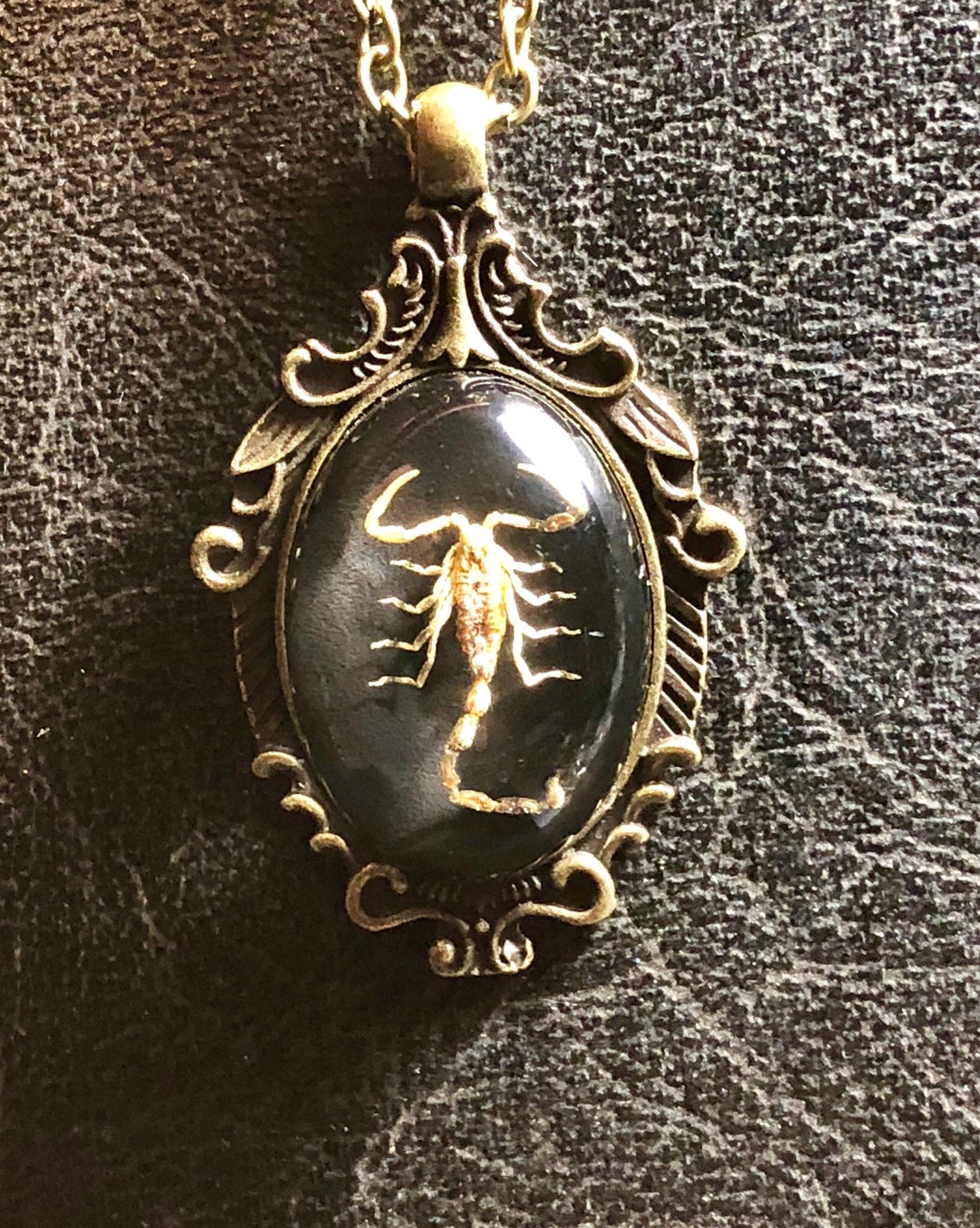 Real Golden Scorpion Specimen on Black Resin in Ornate Scroll Bronze ...