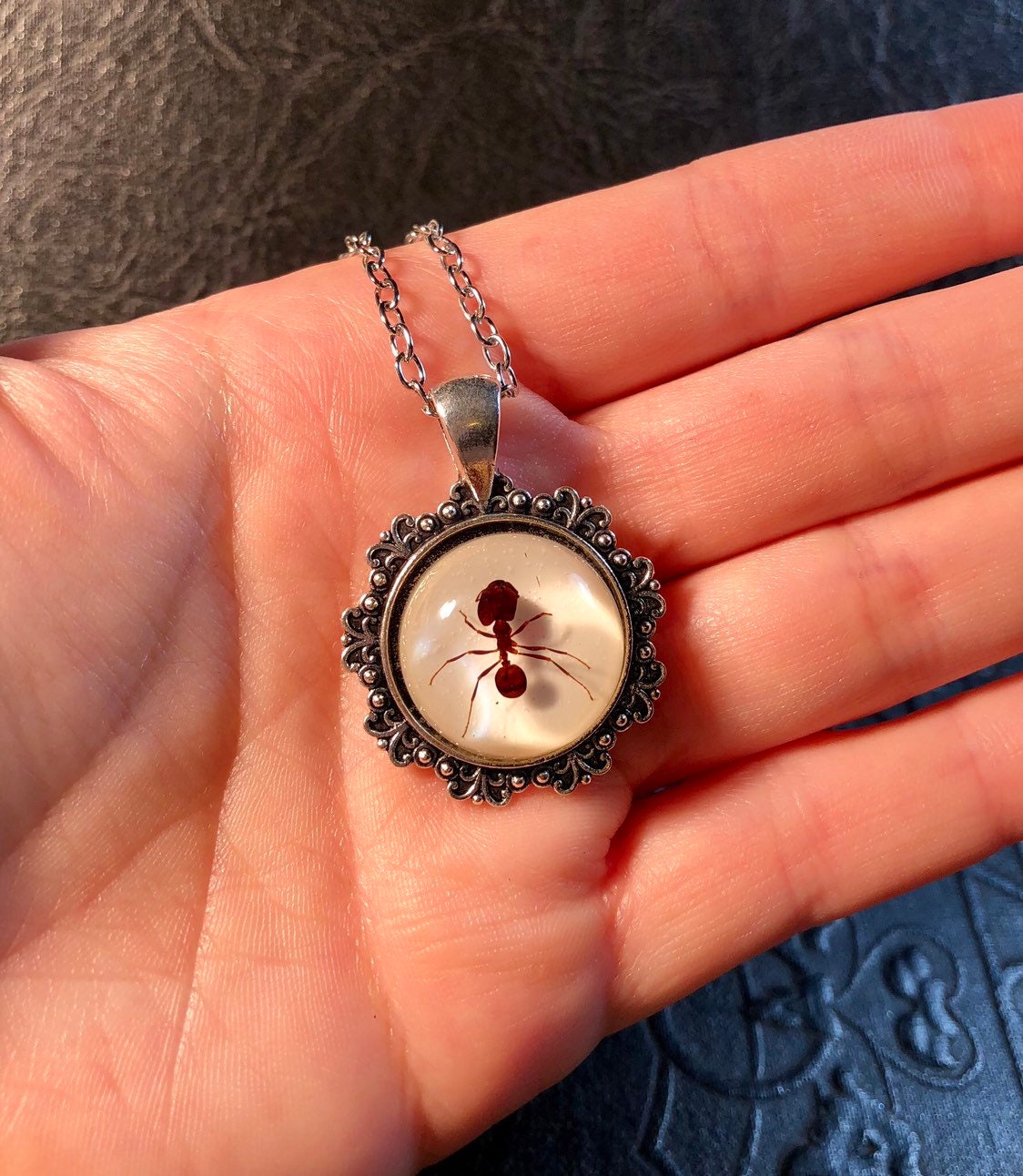 Big Head Red Ant Specimen 20mm Round Cameo Resin Entomology - Etsy