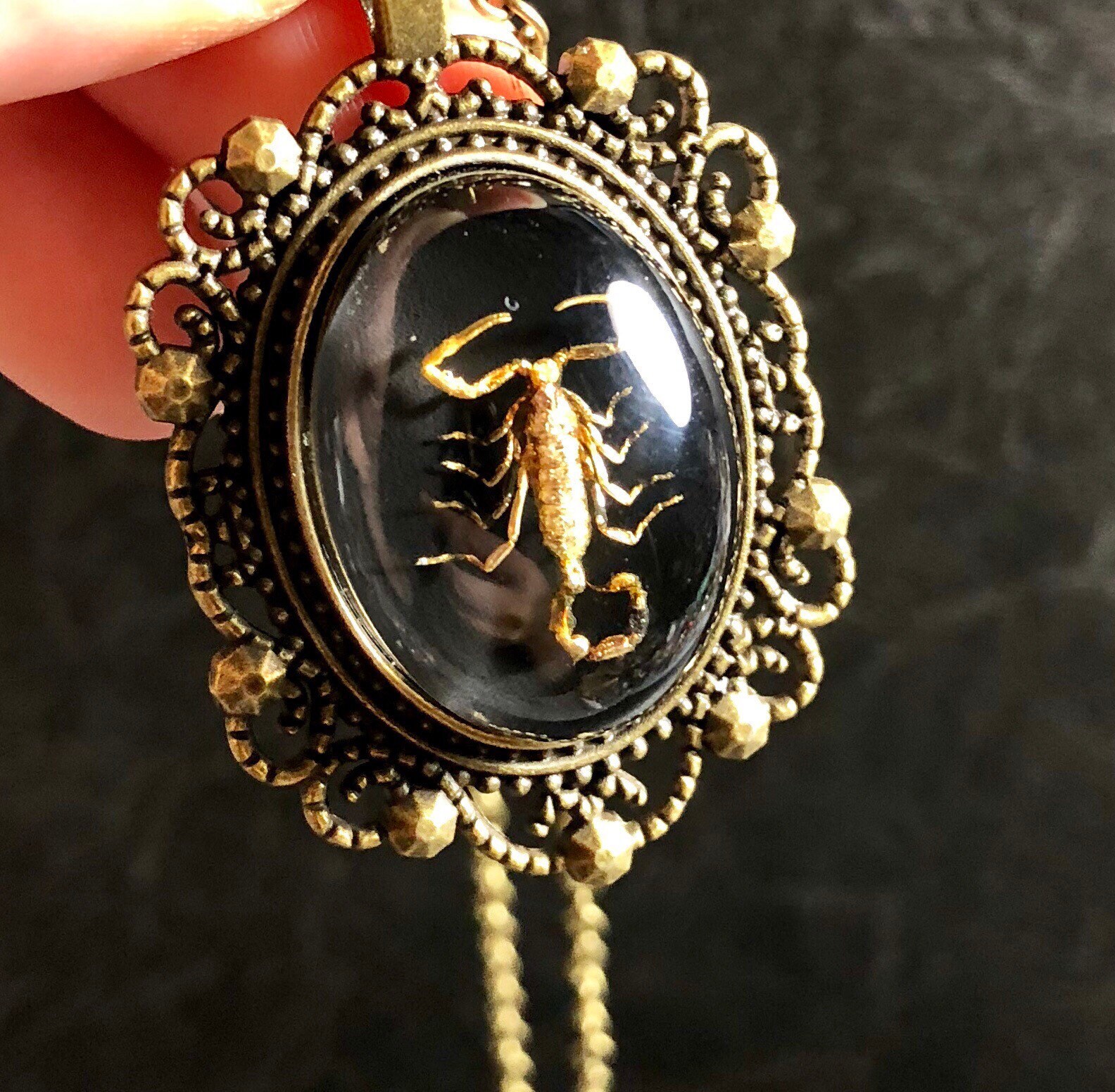 Real Golden Scorpion Specimen on Black Resin in Metal Lace Bronze ...