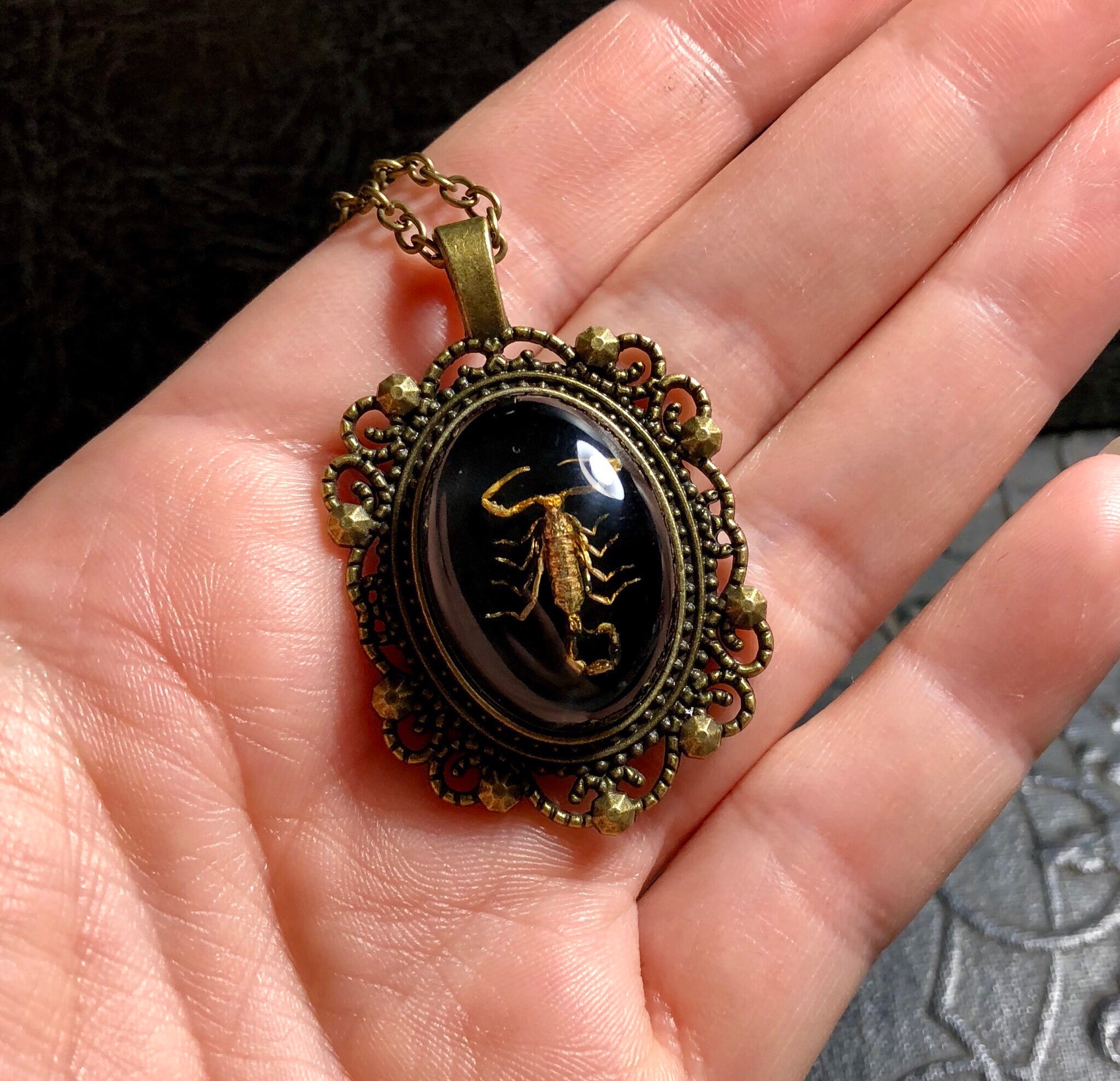 Real Golden Scorpion Specimen on Black Resin in Metal Lace Bronze ...