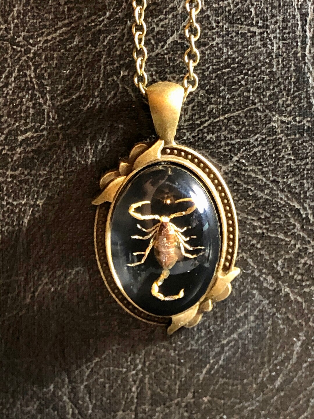 Real Golden Scorpion Specimen on Black Resin in Bow Tied Bronze Setting ...