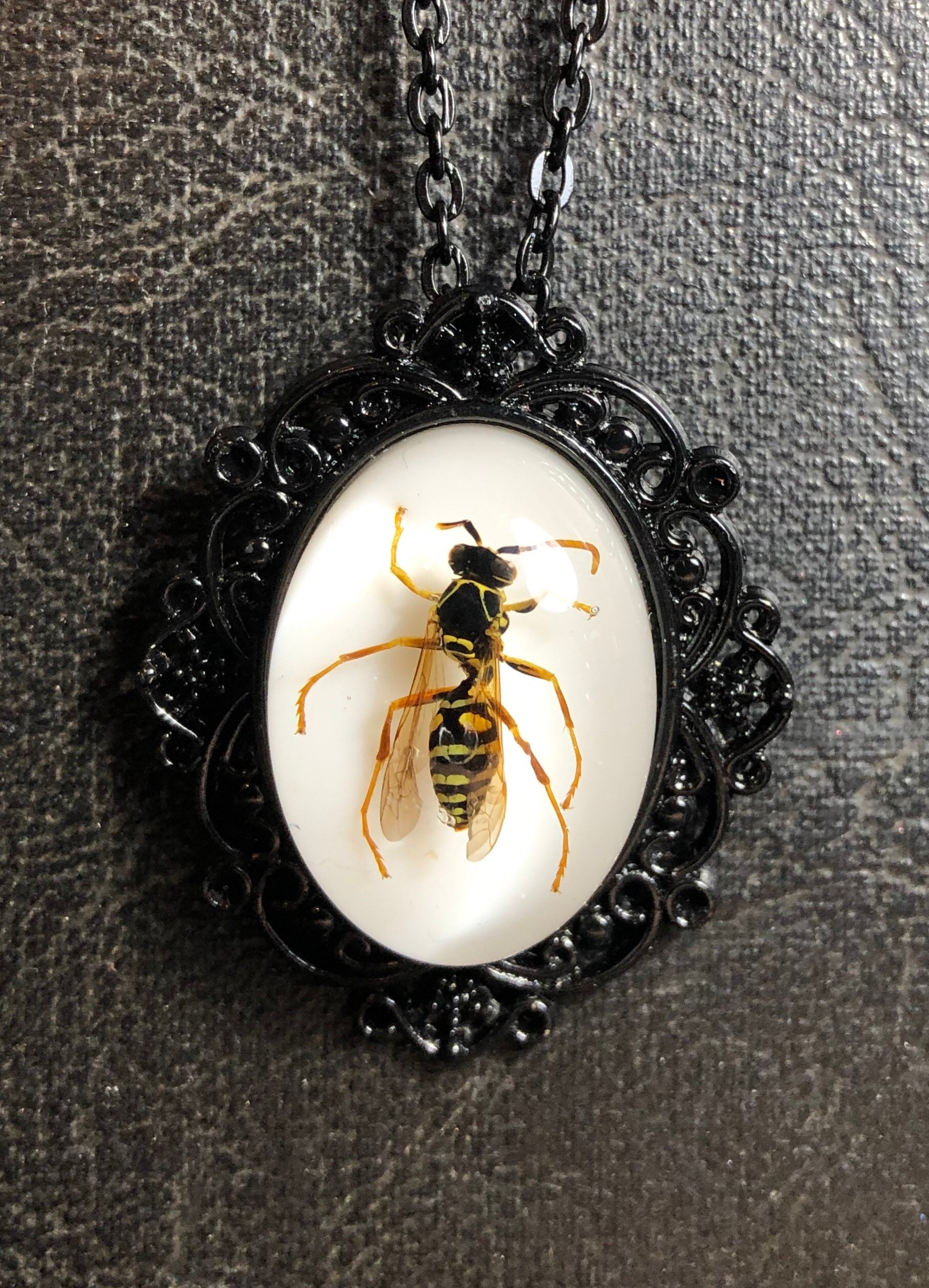 Real Yellow Wasp Specimen on Black Enamel Frame Bezel in Resin | Etsy