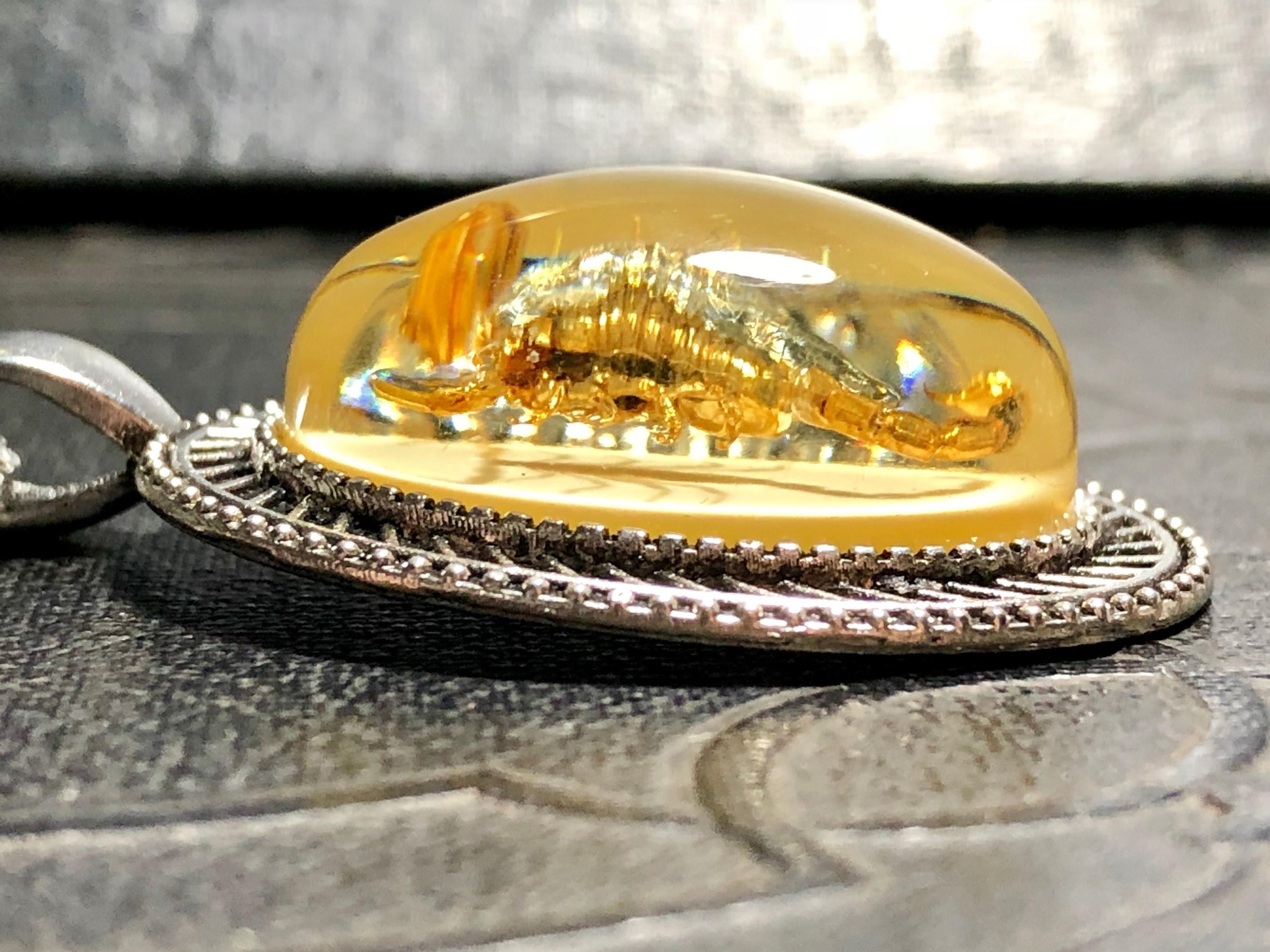 Real Golden Bark Scorpion Specimen in Resin Floating Entomology Insect ...