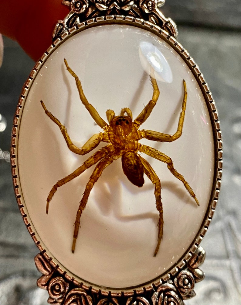 Silver Roses Surround Real Spider Specimen in Resin Bug Cameo | Etsy