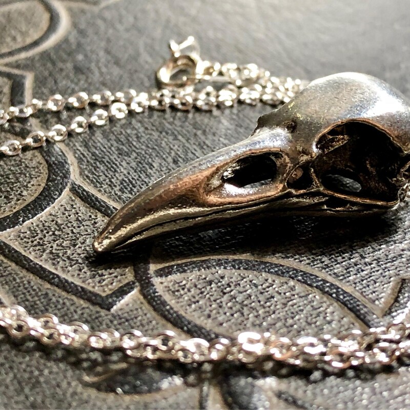 Crow Skulls - Etsy
