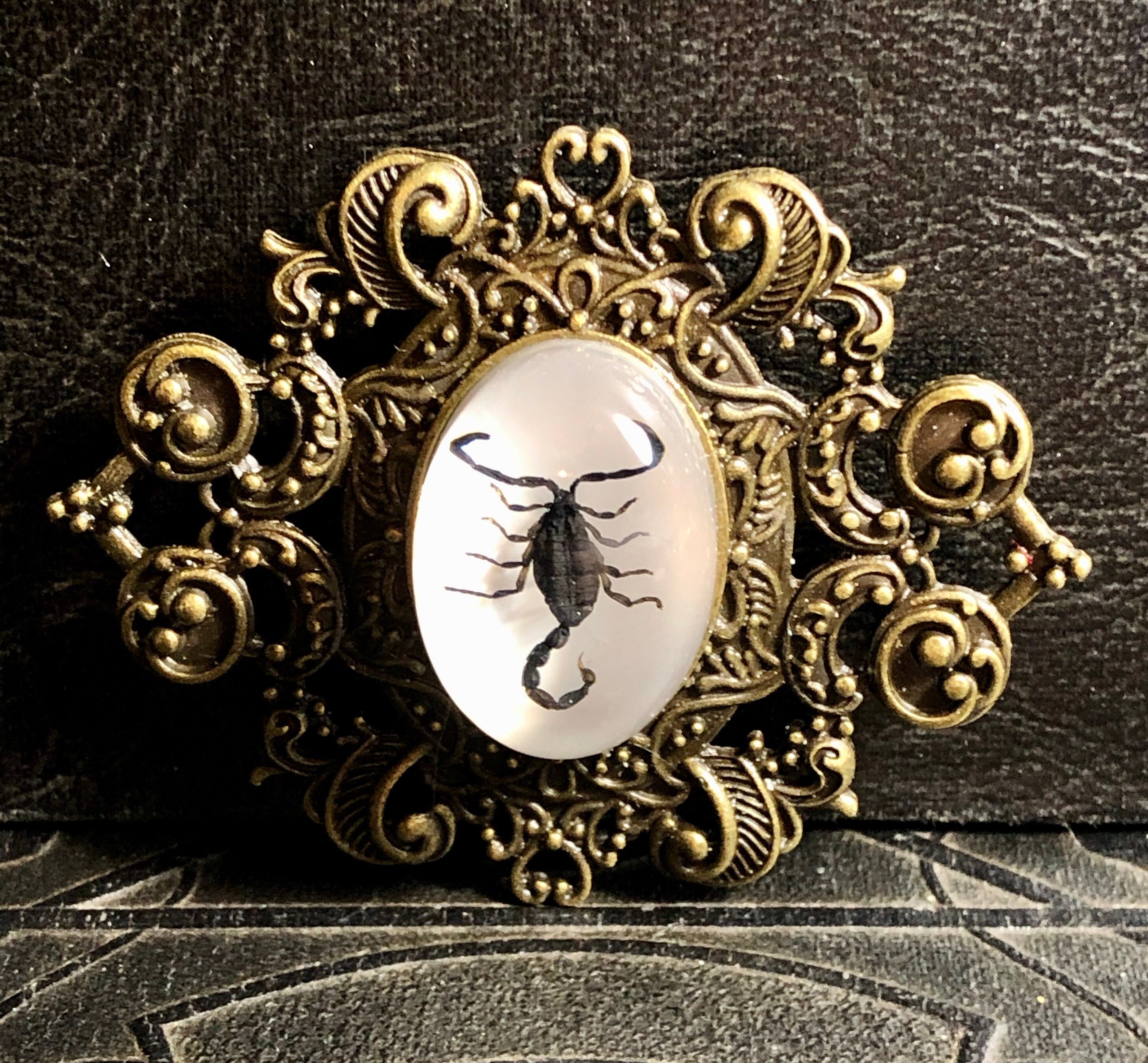 Huge Framed Real Black Scorpion Brooch Preserved Arachnid | Etsy