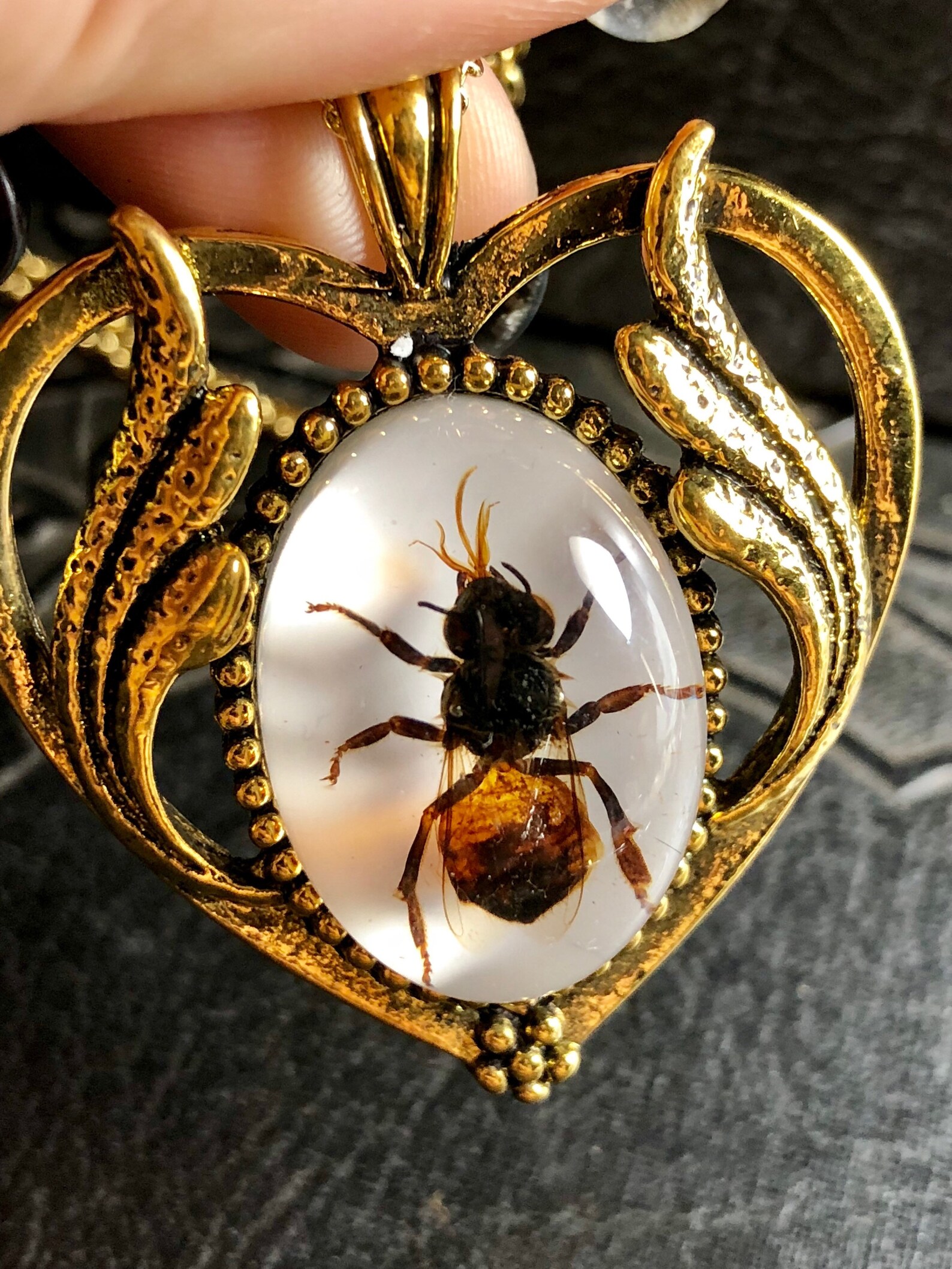 Gold Heart Honey Bee Specimen Bezel in Resin Insect Cameo Entomology ...
