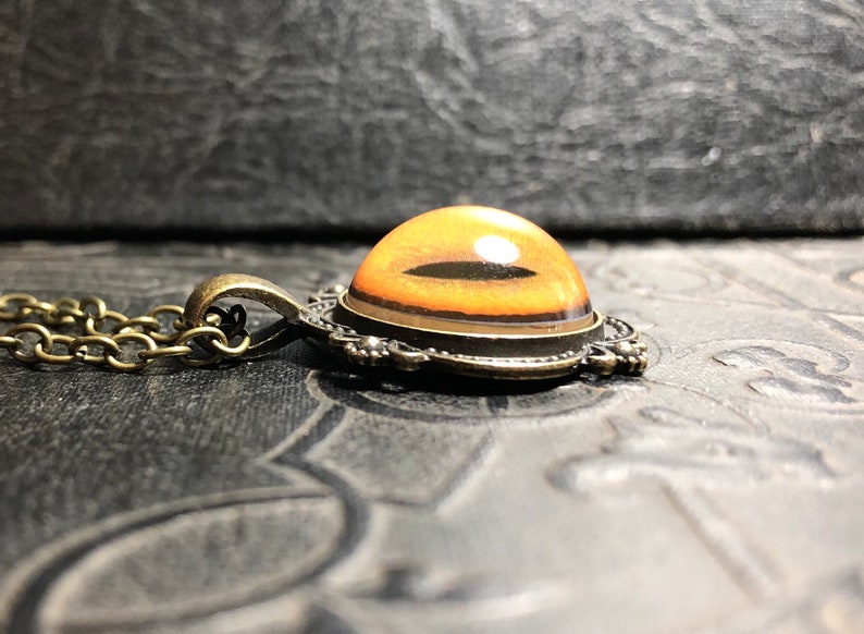 Red Fox Eye Taxidermy Acrylic Slit Eye Necklace Taxidermist Whites Big ...