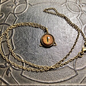 Tiny Brown Bronze Snake Eye Triangle Taxidermy Acrylic Eye Necklace ...
