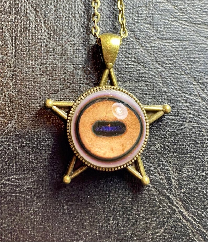 Ram Eye Taxidermy Acrylic Goat Eye Necklace Horizontal Pupil - Etsy