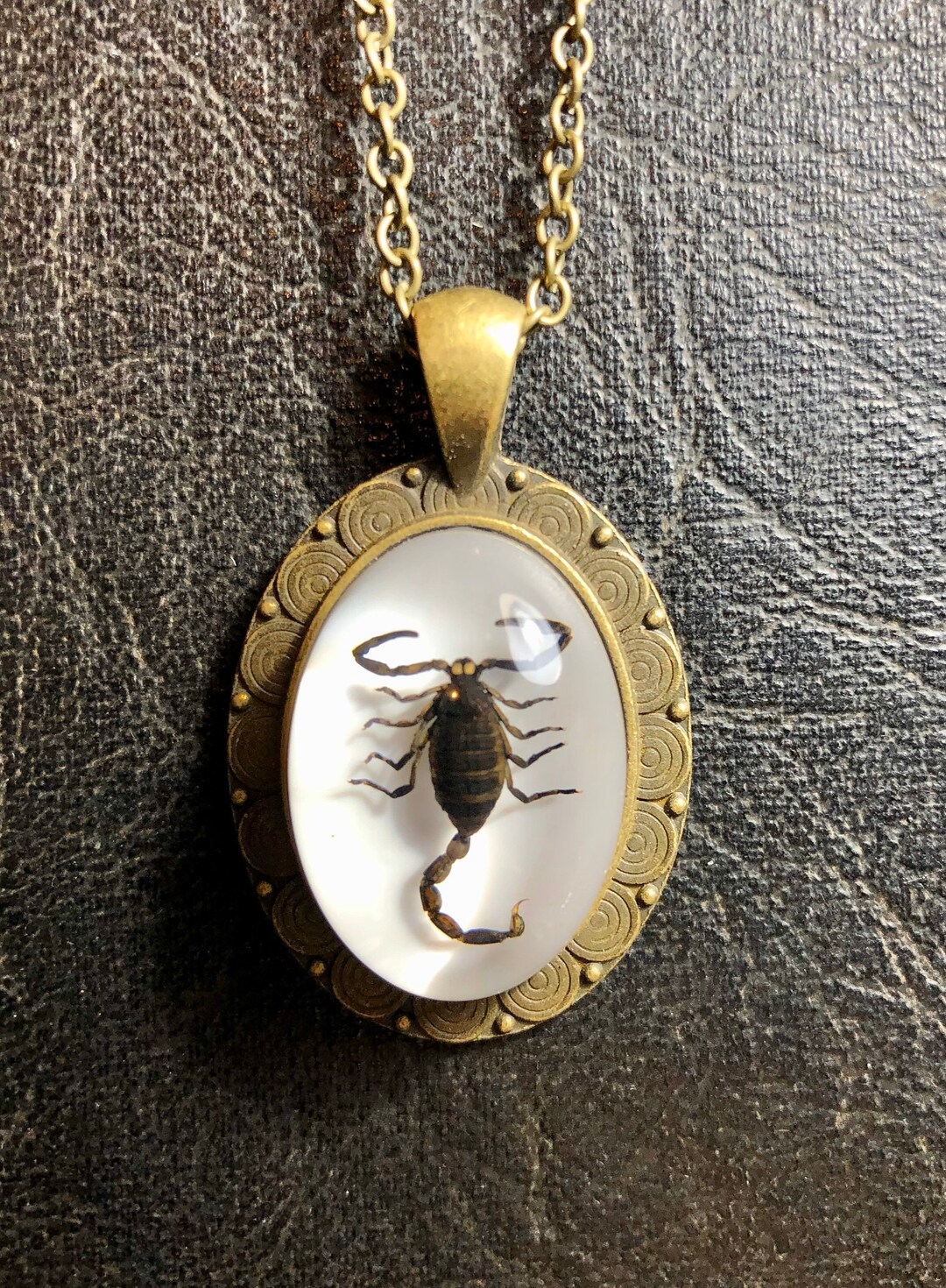 Real Black Scorpion Specimen on White Resin Cameo Bronze Bezel ...
