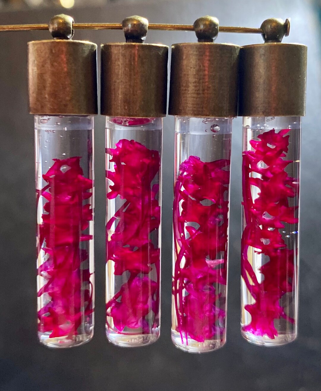 Real Diaphonized Snake Bones Visible Skeleton Pink Specimen Ribs ...