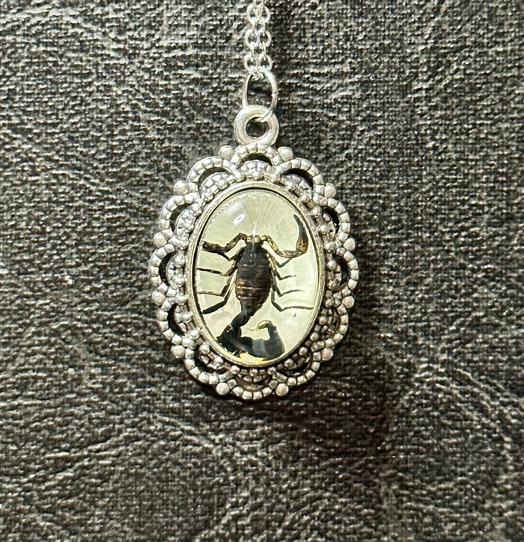 Real Tiny Black Baby Scorpion Preserved Specimen Cameo Vulture Culture ...