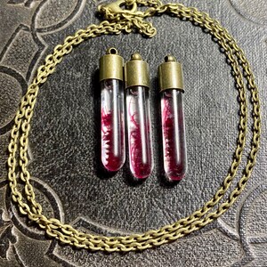 Real Diaphonized Snake Bones Visible Skeleton Pink Specimen Ribs ...