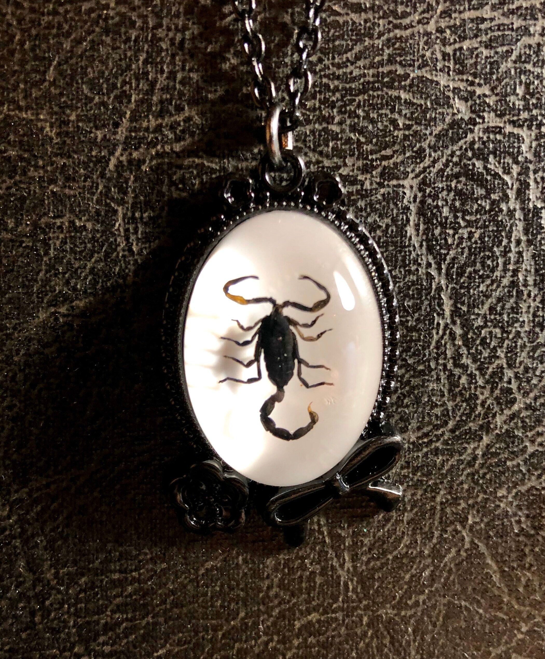 Scorpio Real Black Scorpion Preserved Specimen in Resin Cameo | Etsy