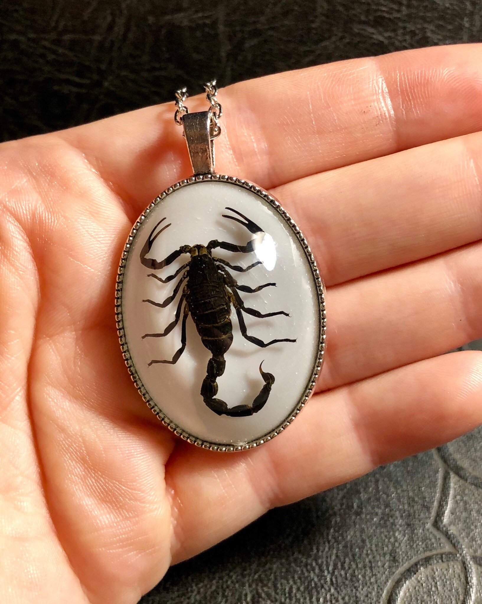 Huge Black Scorpion Arachnid Specimen in Resin Lady Cameo Dead Bug ...