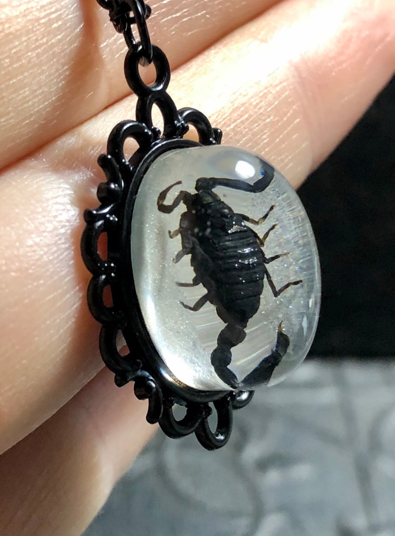 Tiny Black Baby Scorpion Specimen in Resin Cameo Black Frame - Etsy