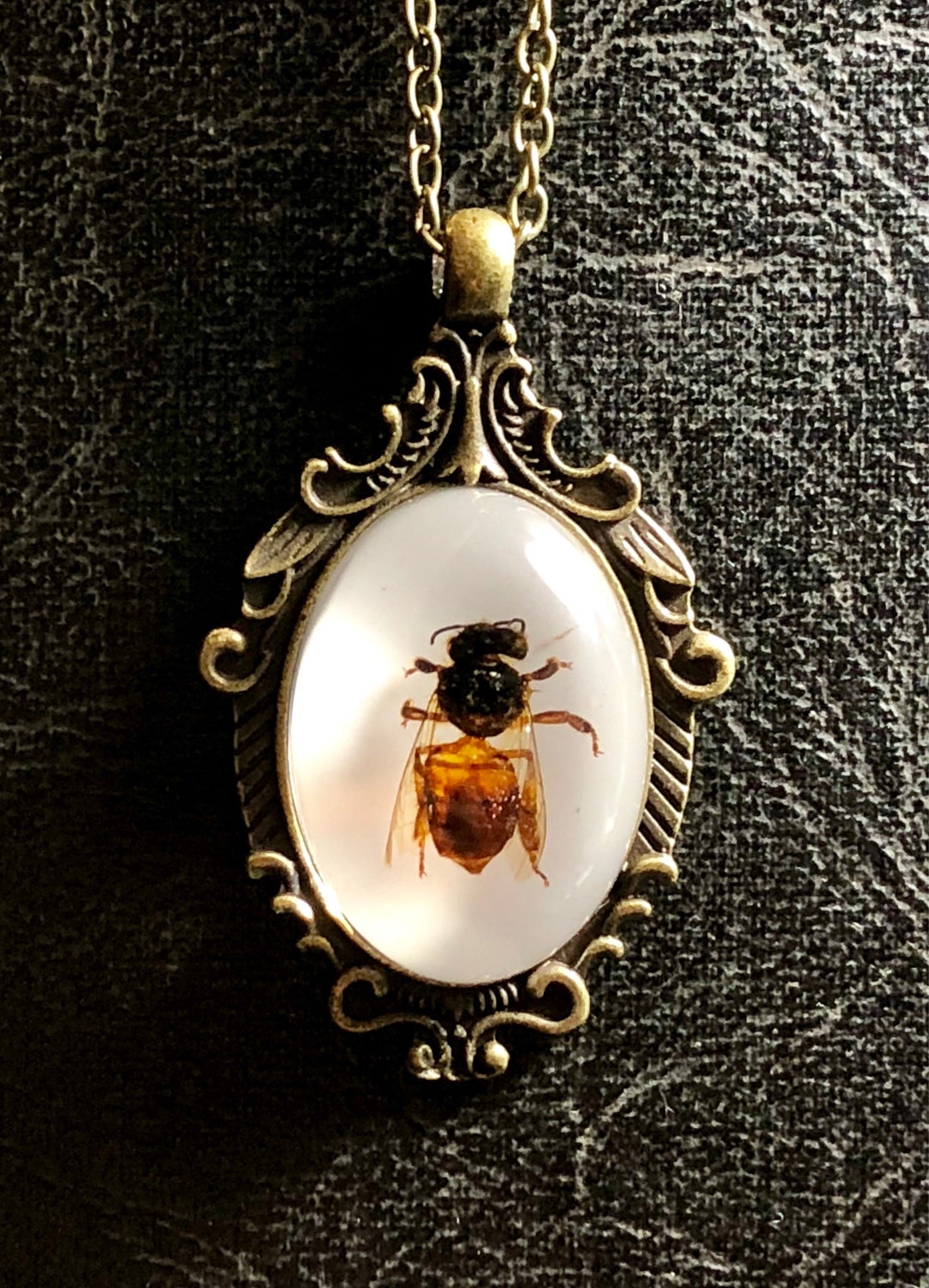 Real Honey Bee Specimen on Bronze Shield Bezel in Resin Insect Cameo ...