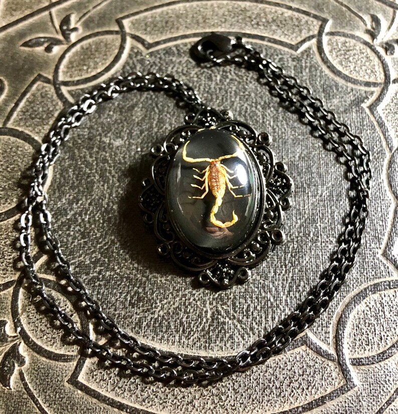 Golden Bark Scorpion Specimen on Black on Black Resin Enamel Cameo ...