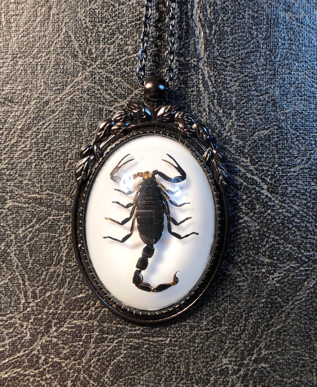 Huge Black Leaf Real Scorpion Arachnid Specimen in Resin Cameo Dead Bug ...