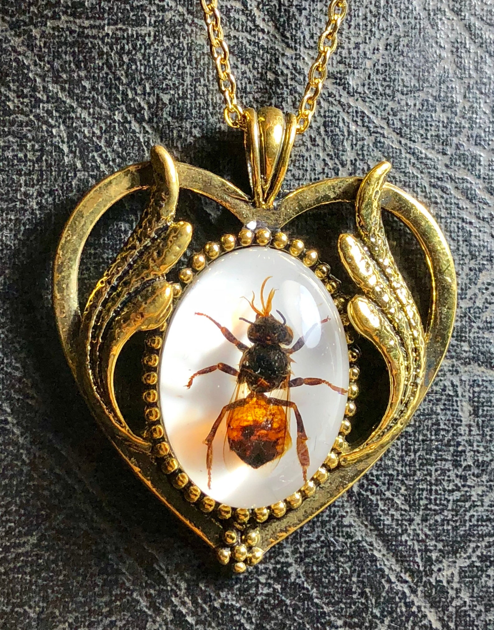 Gold Heart Honey Bee Specimen Bezel in Resin Insect Cameo Entomology ...