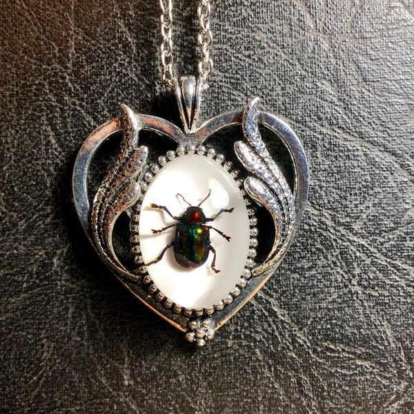 Real Insect Jewelry - Etsy