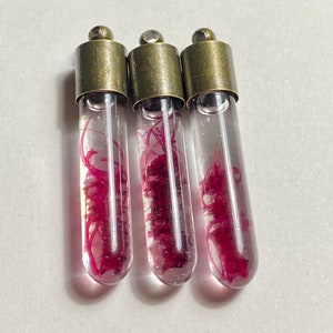 Real Diaphonized Snake Bones Visible Skeleton Pink Specimen Ribs ...