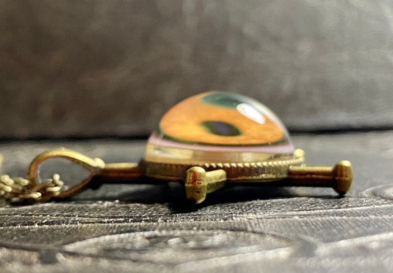 Ram Eye Taxidermy Acrylic Goat Eye Necklace Horizontal Pupil - Etsy