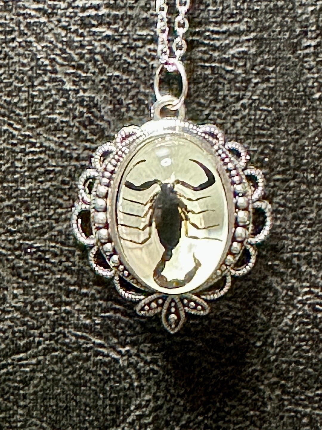 Real Tiny Black Baby Scorpion Preserved Specimen Cameo Vulture Culture ...