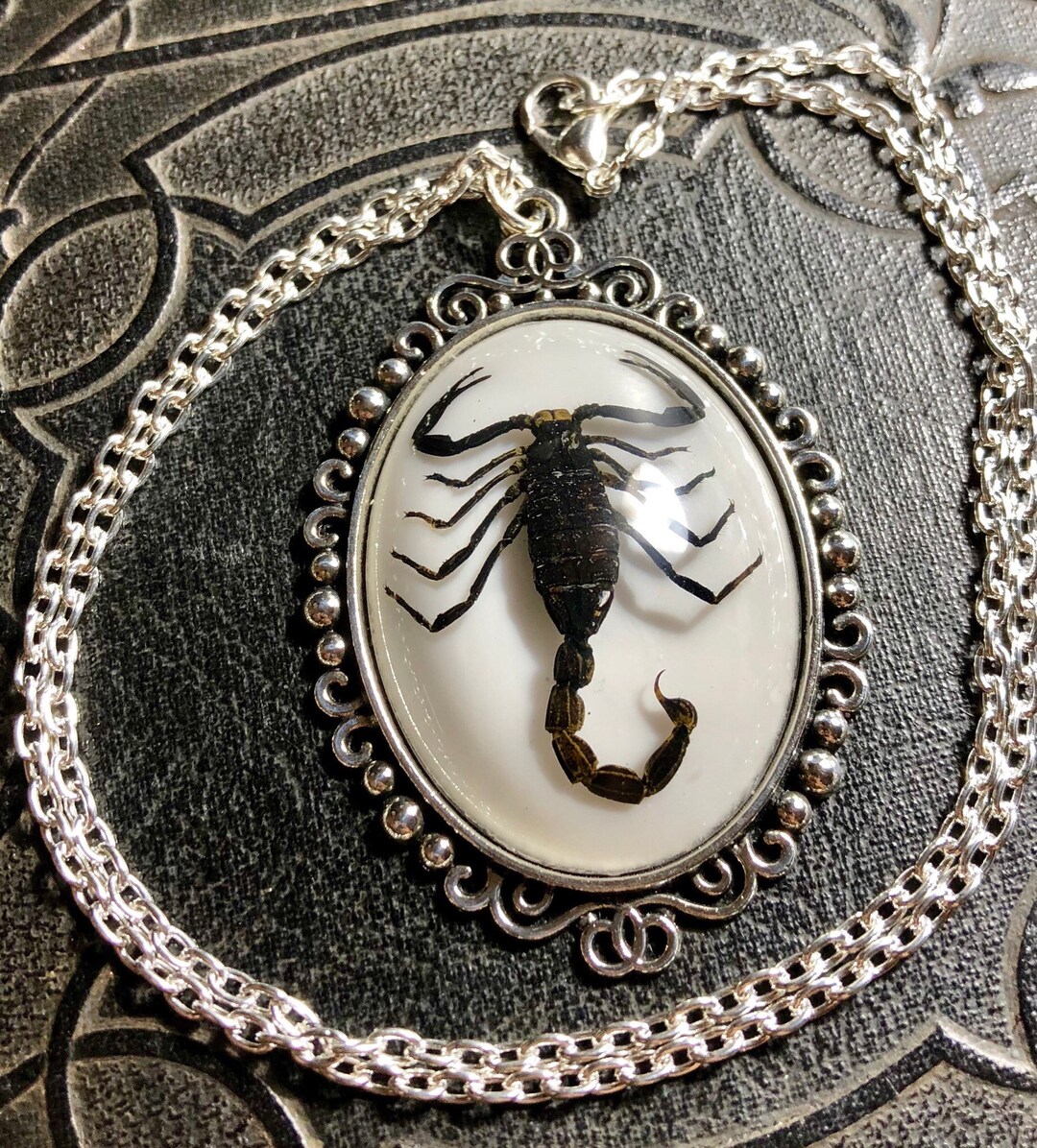 Huge Black Scorpion Arachnid Specimen in Resin Cameo Dead Bug ...