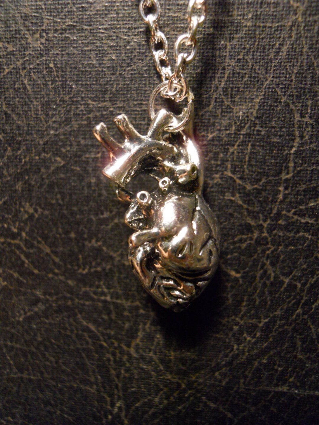 Realistic Human Heart Anatomical 3D Cardiac Anatomically Correct ...