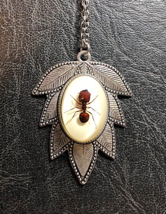 Giant Red Ant Specimen Leaf Cameo Resin Entomology Bug Real | Etsy