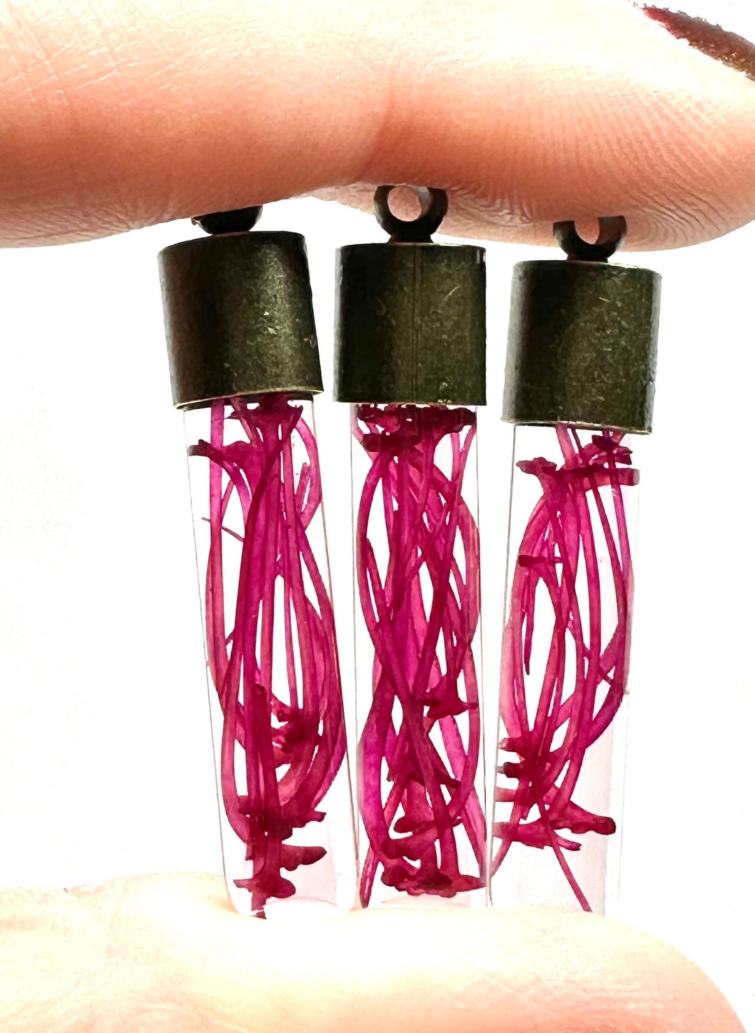 Real Diaphonized Snake Bones Visible Skeleton Pink Specimen All Ribs ...