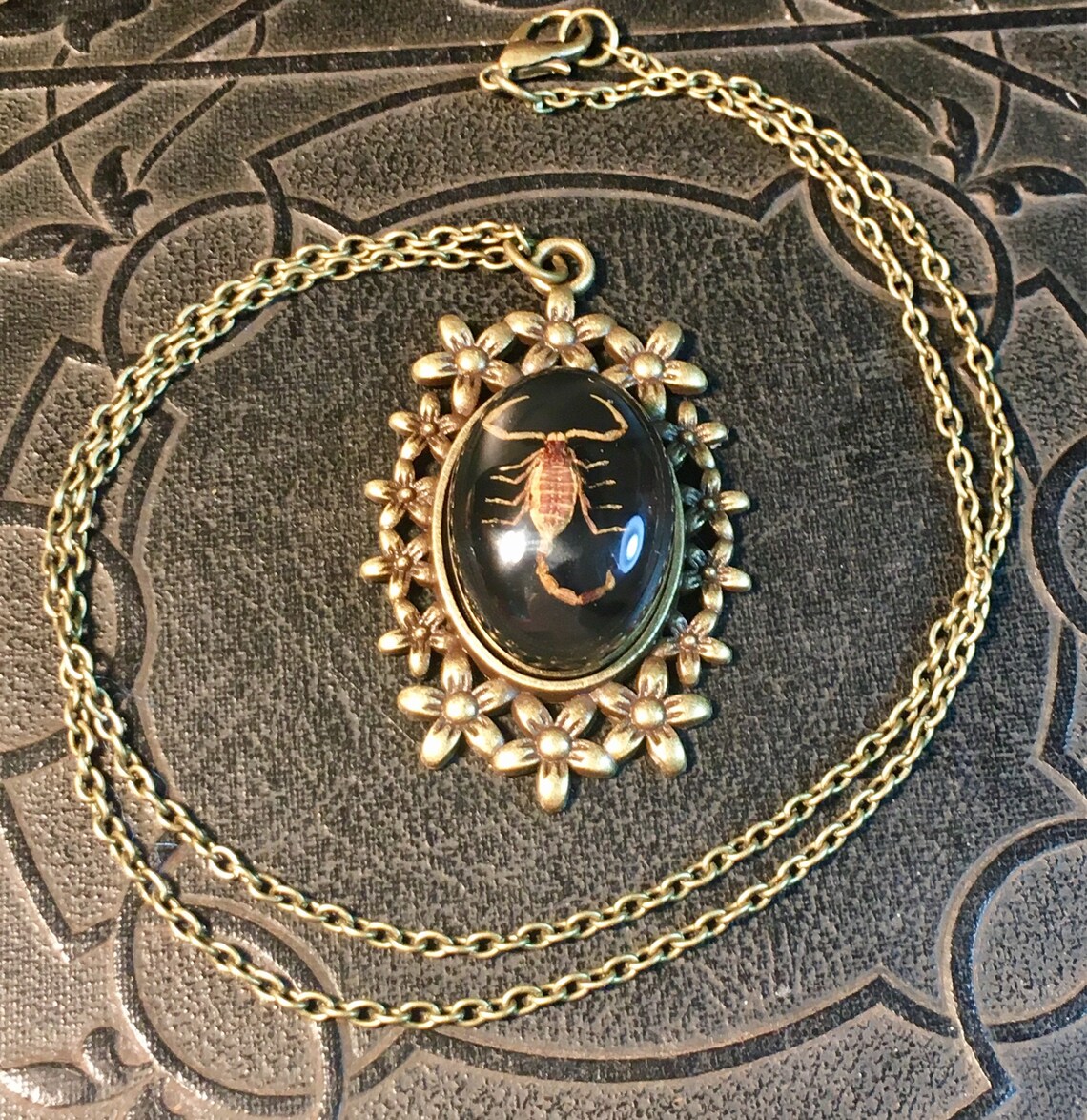Flower Chain Golden Bark Scorpion Specimen on Black Resin Cameo Lace ...