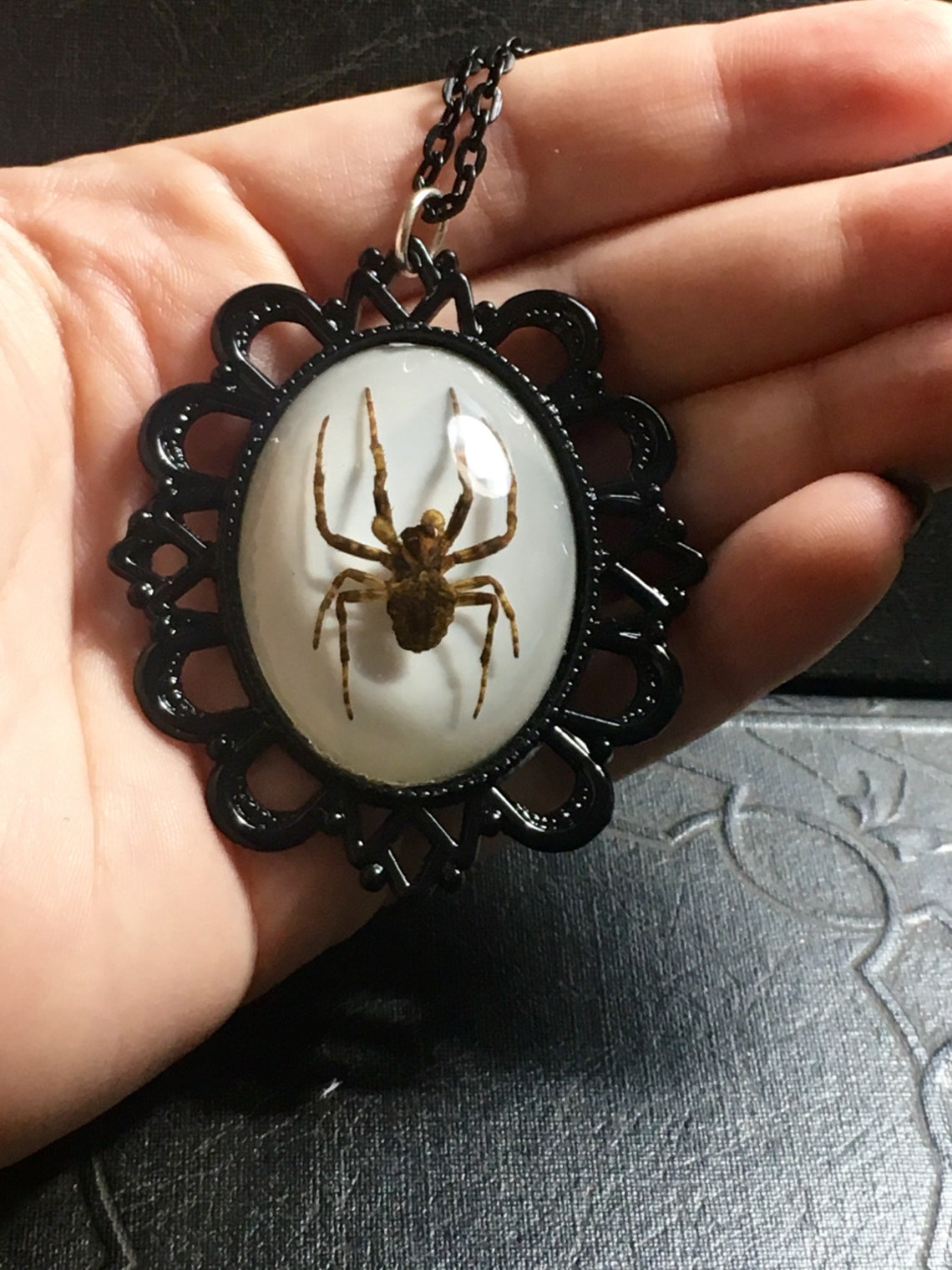 Black Framed Real Ghost Spider Specimen Insect in Resin Cameo - Etsy