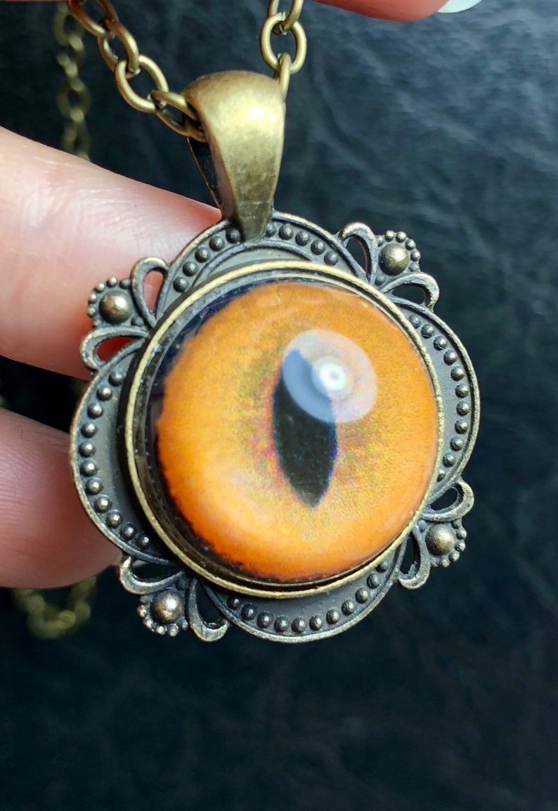 Red Fox Eye Taxidermy Acrylic Slit Eye Necklace Taxidermist Whites Big ...