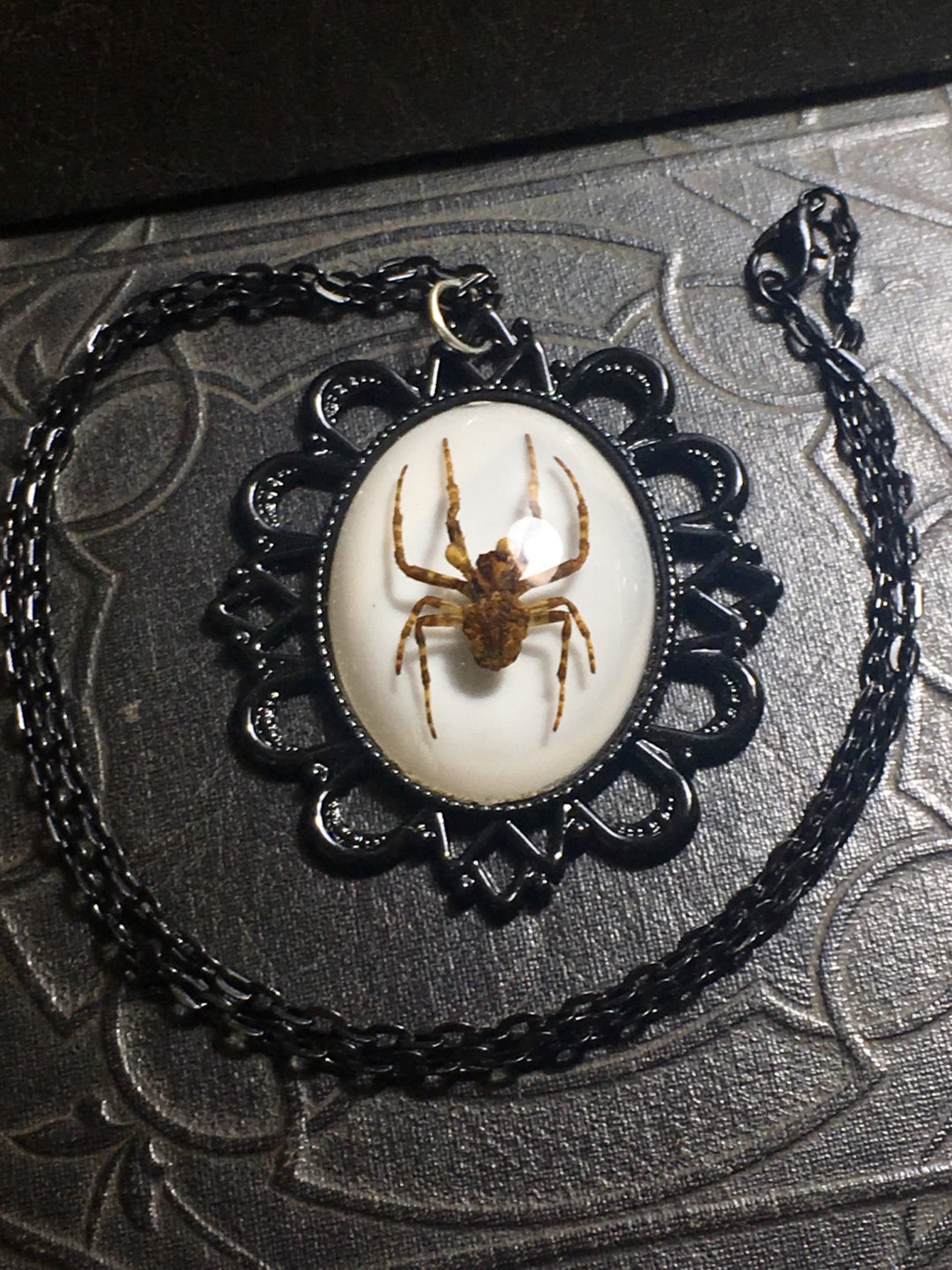 Black Framed Real Ghost Spider Specimen Insect in Resin Cameo Necklace ...