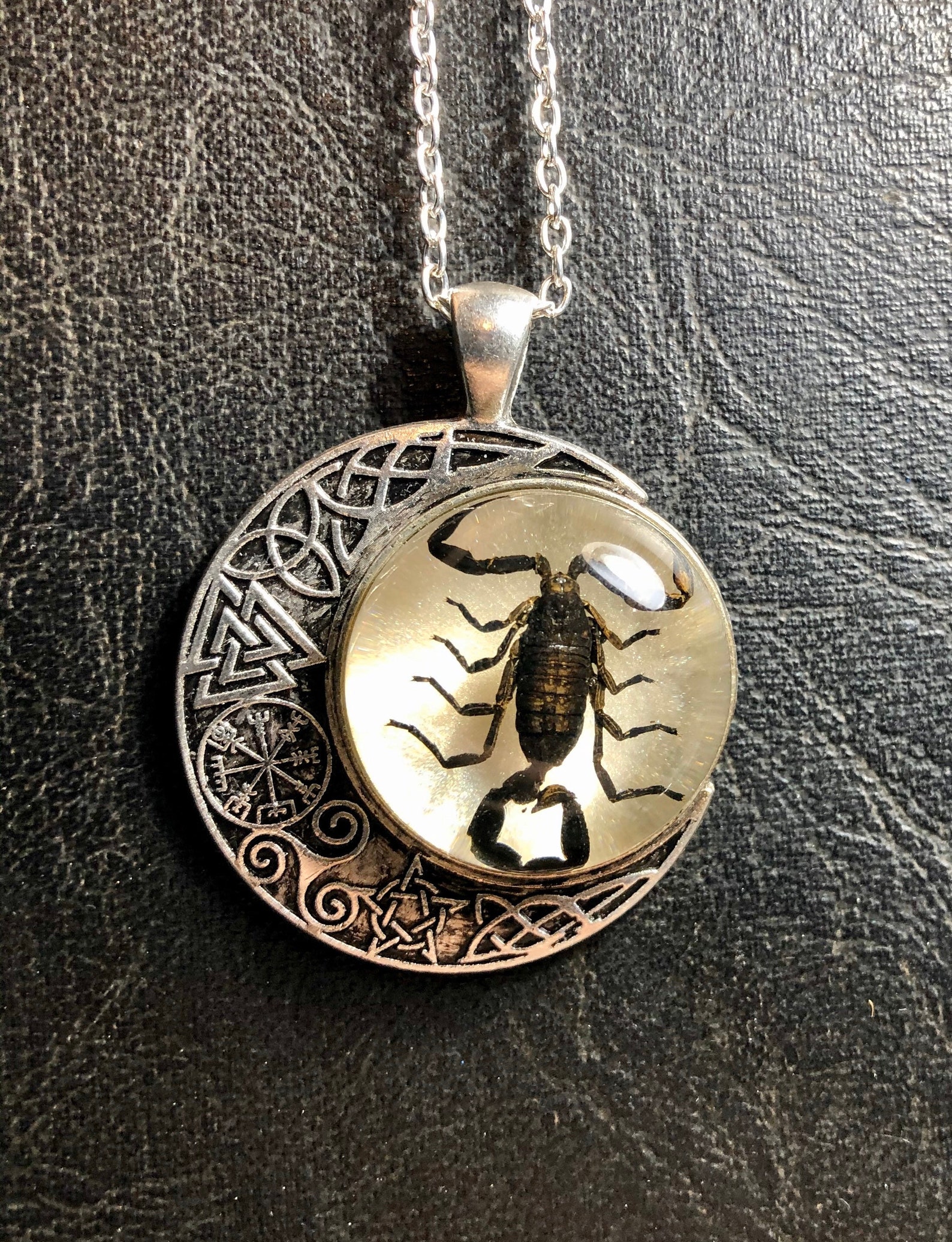 Viking Moon Black Scorpion Entomology Dead Insect Bug Specimen - Etsy