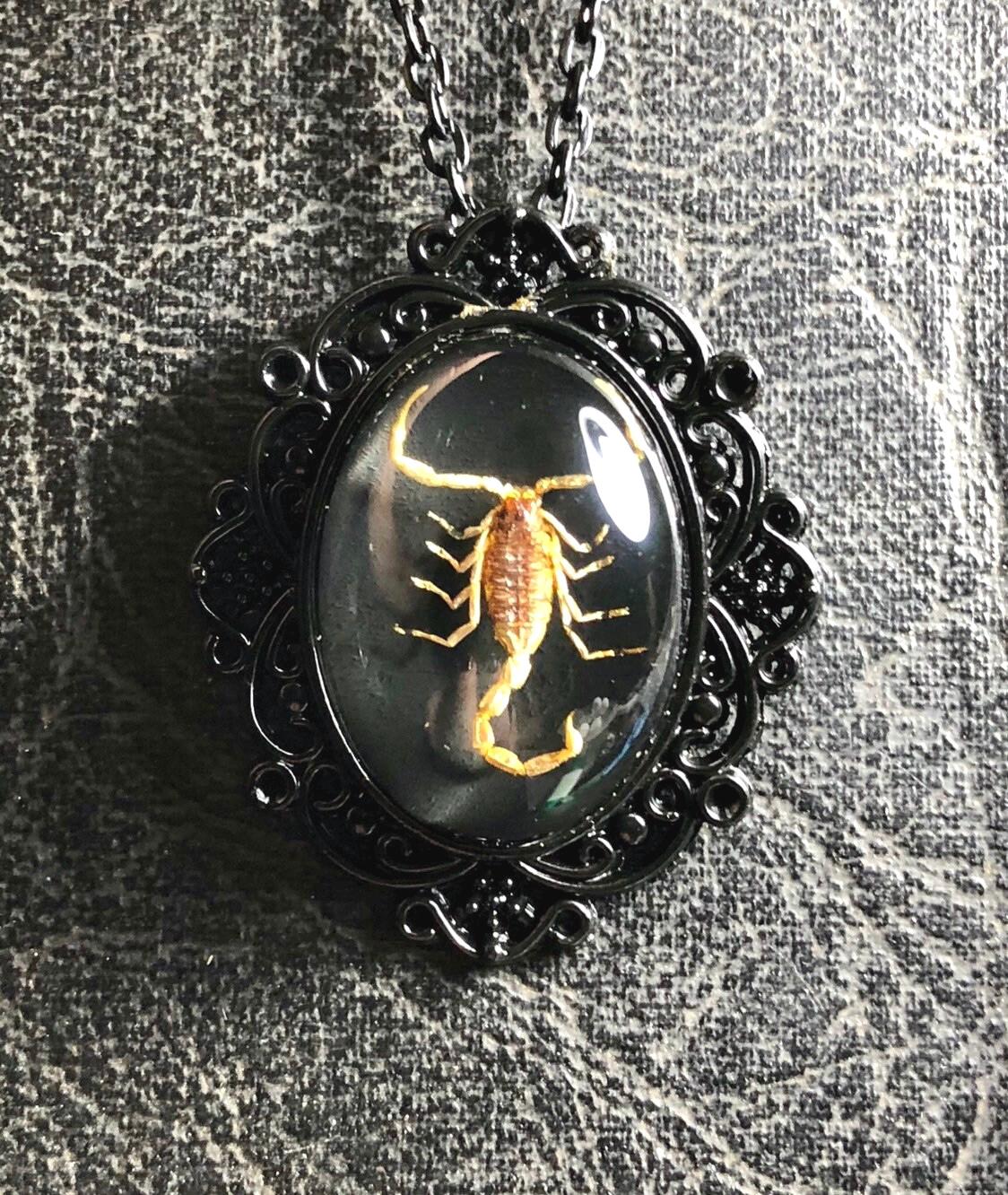 Golden Bark Scorpion Specimen on Black on Black Resin Enamel Cameo ...