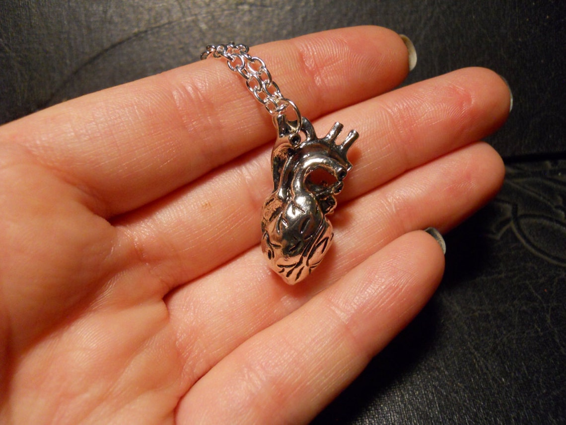 Realistic Human Heart Anatomical 3D Cardiac Anatomically Correct ...