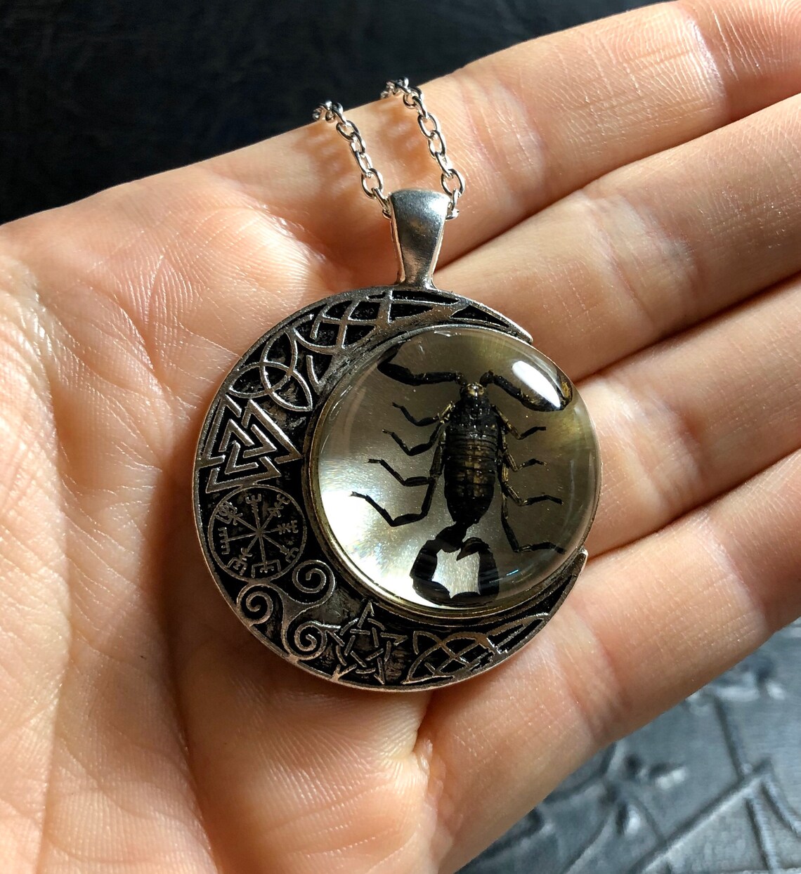 Viking Moon Black Scorpion Entomology Dead Insect Bug Specimen - Etsy