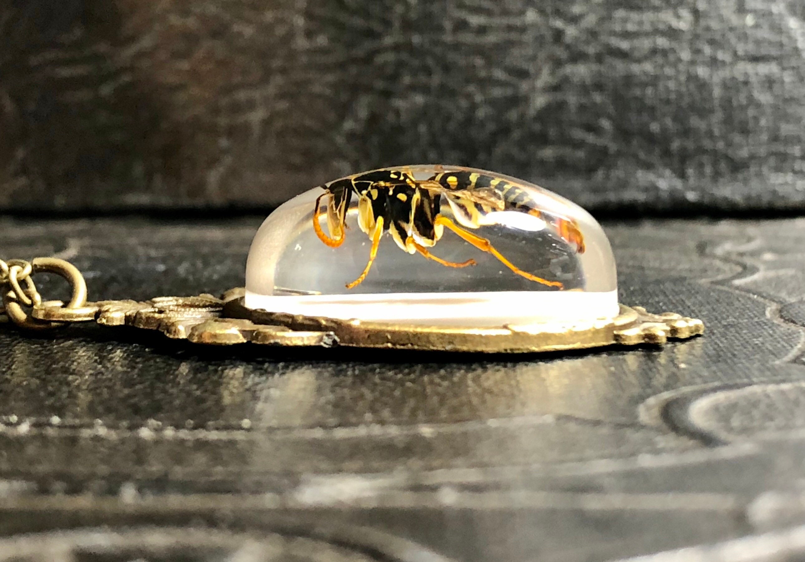 Real Yellow Wasp Specimen on Bronze Frame Bezel in Resin Insect Cameo ...
