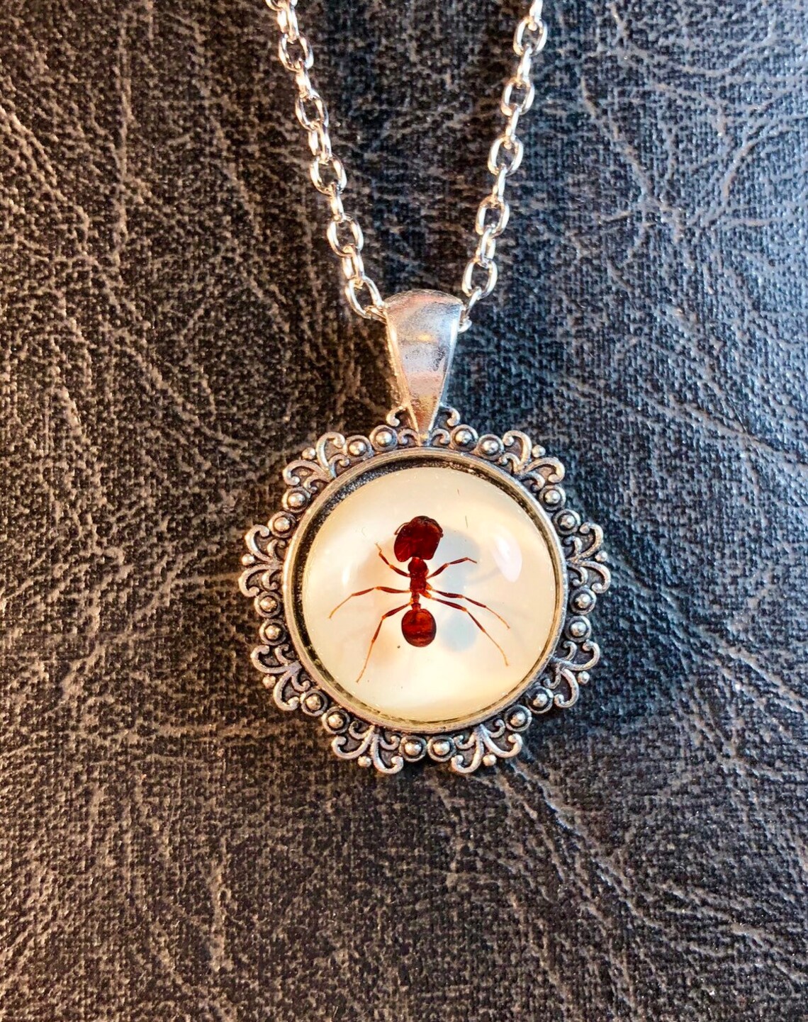 Big Head Red Ant Specimen 20mm Round Cameo Resin Entomology | Etsy