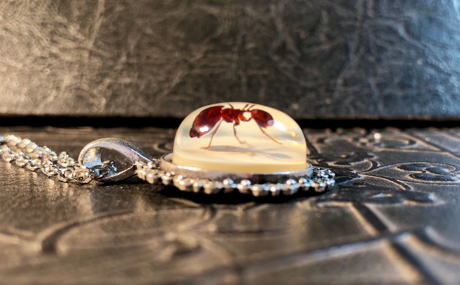 Big Head Red Ant Specimen 20mm Round Cameo Resin Entomology - Etsy