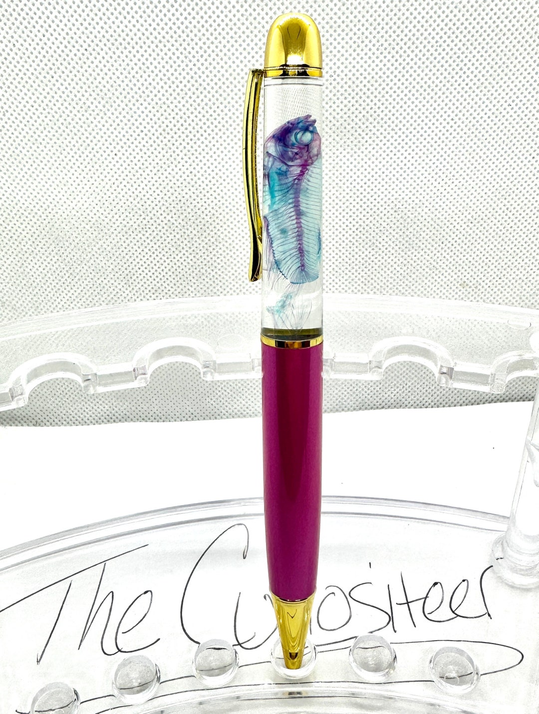 Real Specimen Ink Pen Diaphonized Female Betta Fighting Fish Visible ...