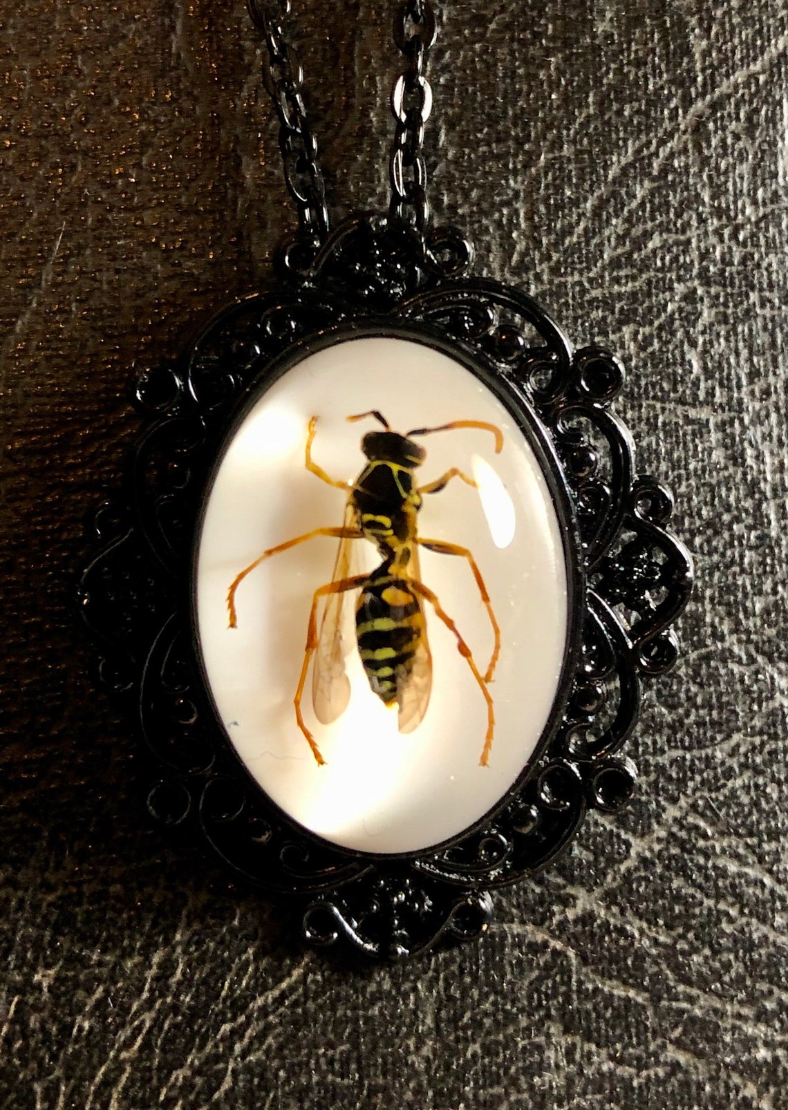 Real Yellow Wasp Specimen on Black Enamel Frame Bezel in Resin Insect ...